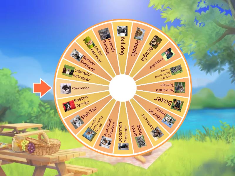 Dog Breeds - Spin the wheel