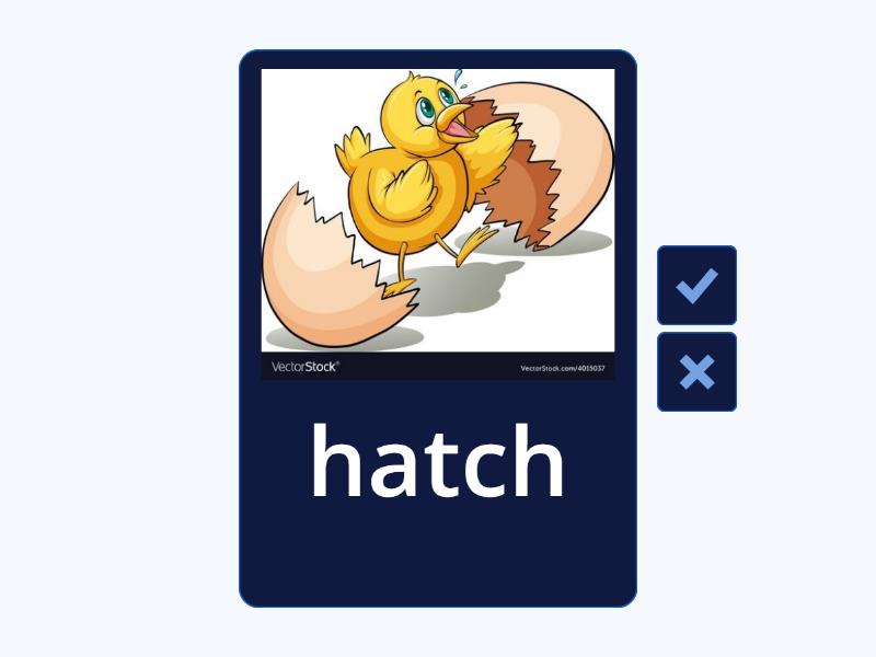 The Ugly Duckling Flashcards_1 - Flash cards