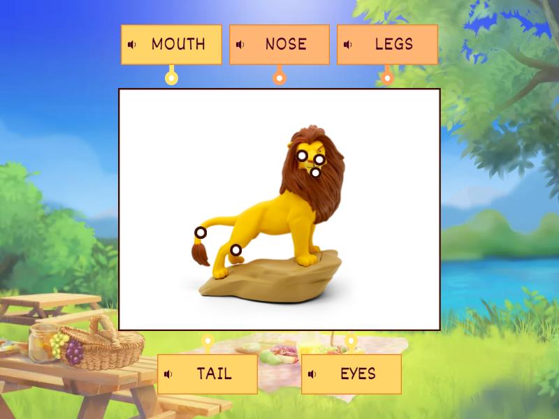 LION: PARTS OF THE BODY - Labelled diagram