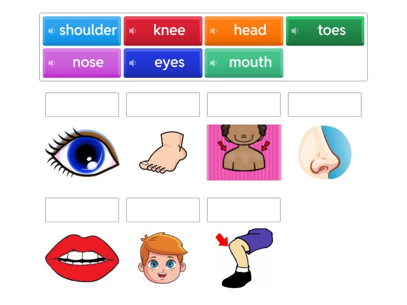Parts of the body - Match up