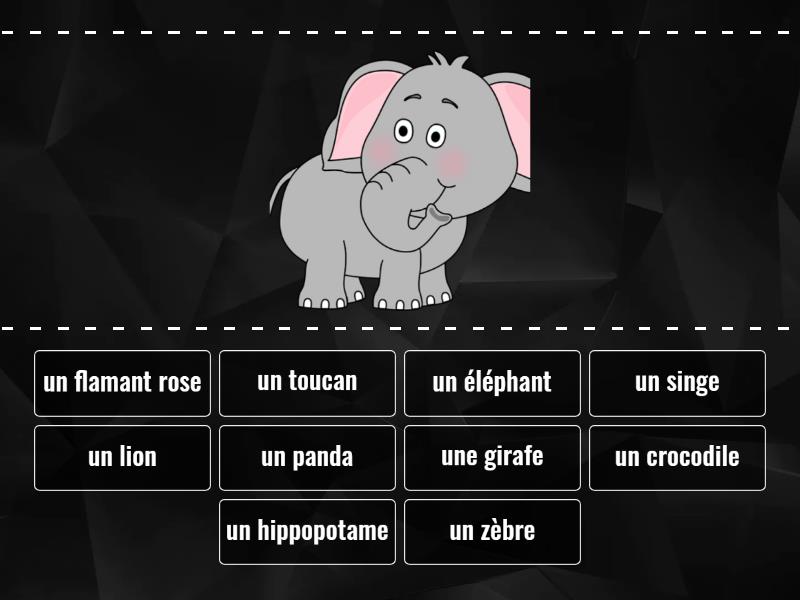 Je peux compter - le zoo - Find the match
