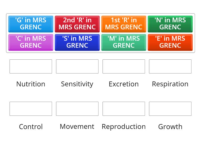 MRS GRENC Biology Revision - Match up
