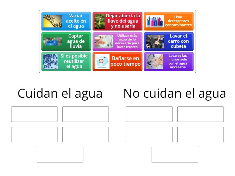 Acciones que cuidan y no el agua - Group sort