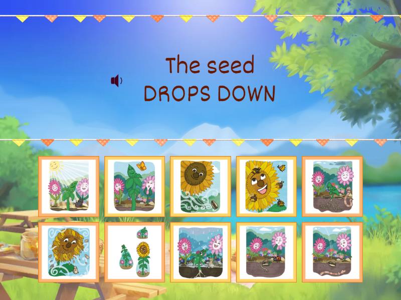 Sal the seed (Post-listening activity)_with audio - Find the match