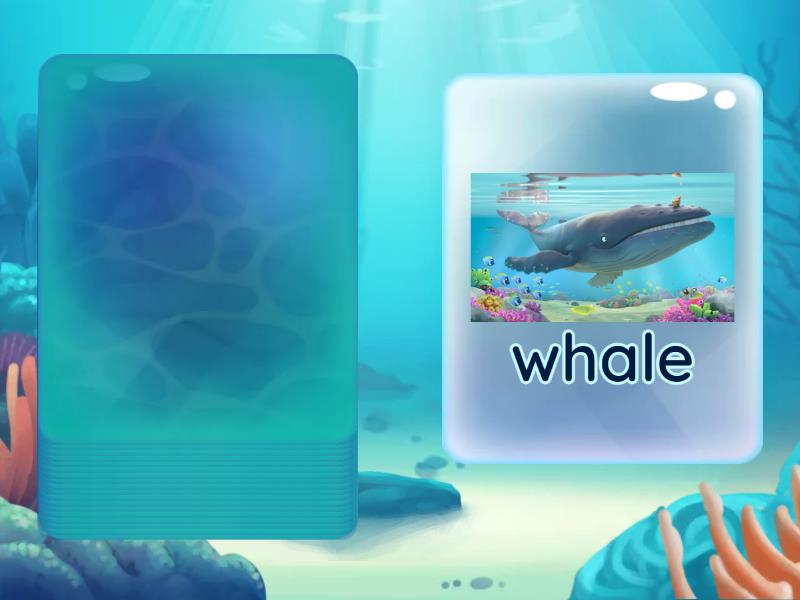 Sea animals FLC - Speaking cards