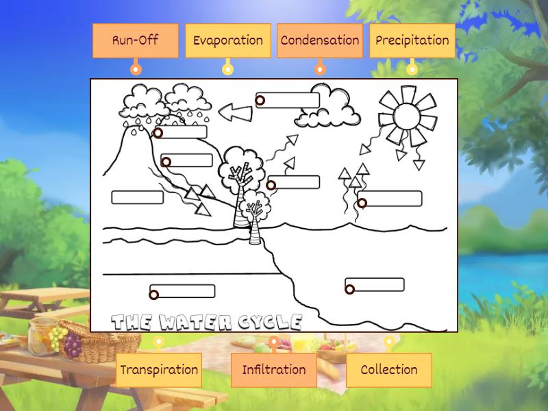 The Water Cycle Diagram - Labelled diagram