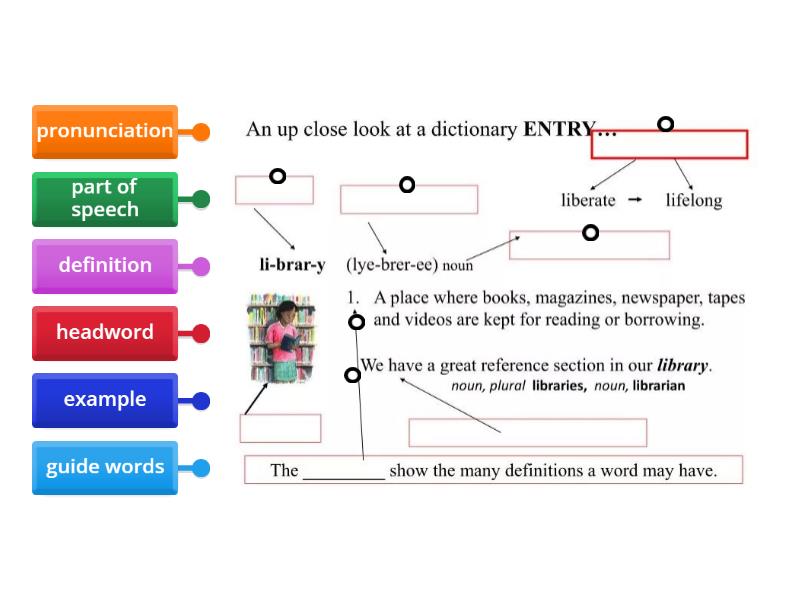 Dictionary Entry Diagram - Labelled diagram