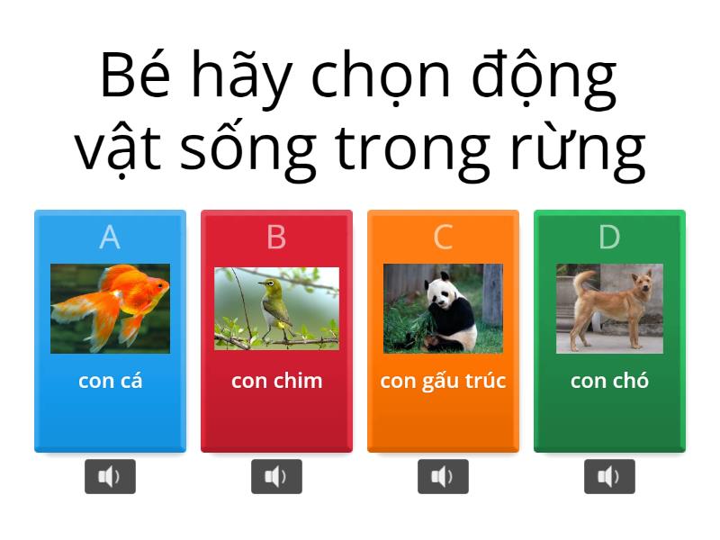 Game trắc nghiệm chủ đề động vật - Quiz
