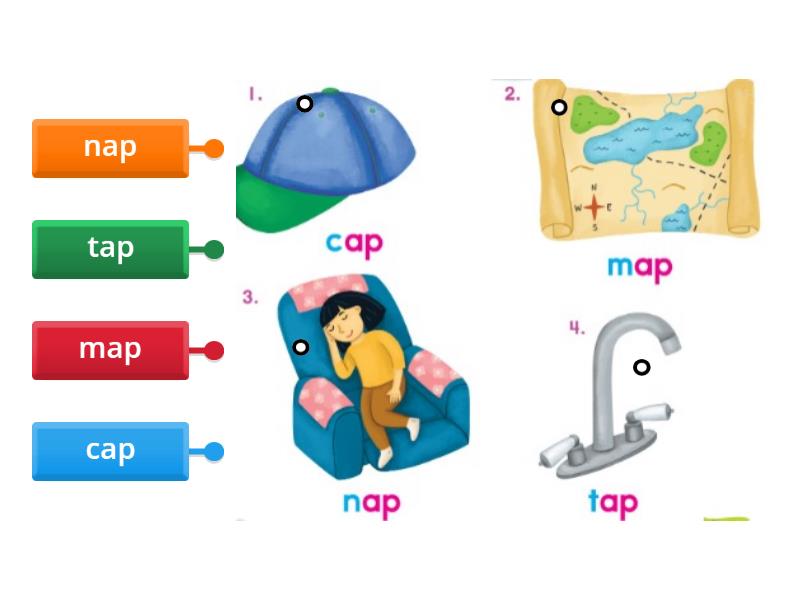 cvc ap - Labelled diagram