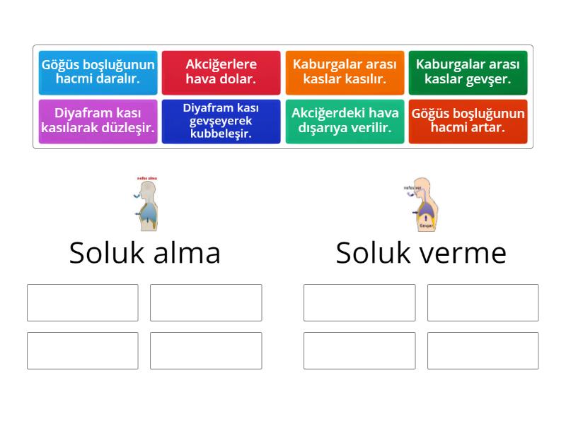 Soluk alma-soluk verme olayları - Group sort