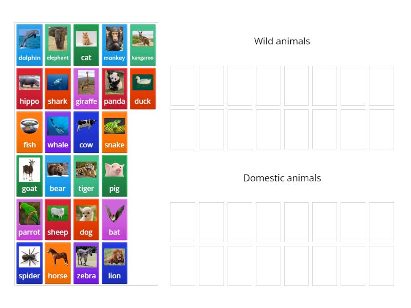 KB3 U7 Wild animals - Group sort