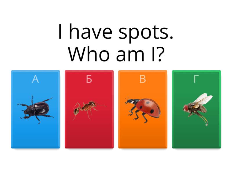 Who Am I? Insects - Quiz