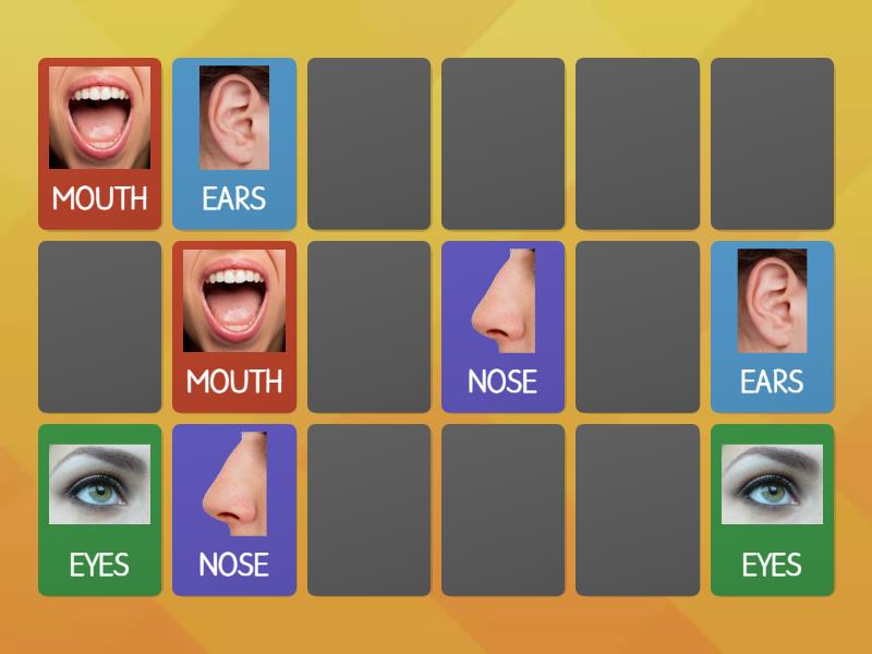 Body Parts Memory Game - Matching pairs