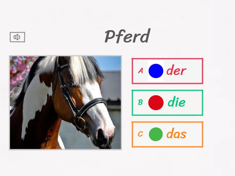 Lisa, Paul und Co A1.1. Lektion 5. Artikel - Quiz