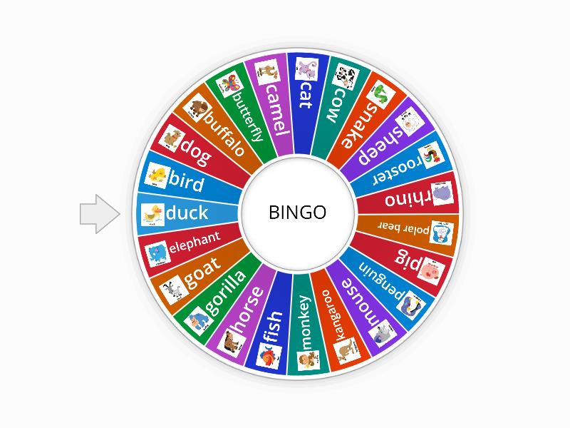 bingo animals - Spin the wheel