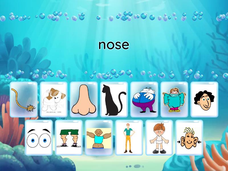 Spotlight 3 Module 5 Unit 9a - Find the match