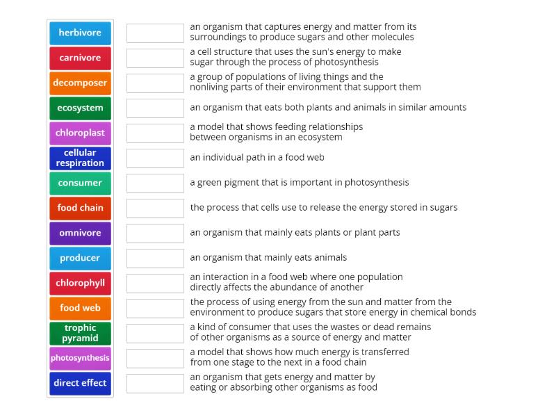 Ecosystems Vocabulary - Match up