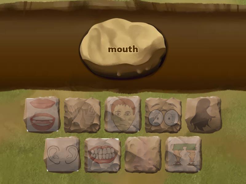 1st Grade-Parts of the body - Find the match