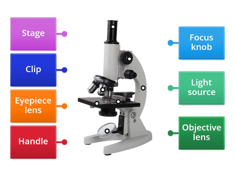 Microscope parts!! - Labelled diagram