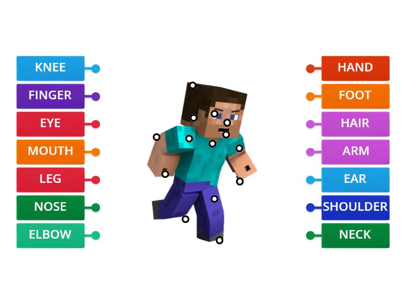 Copy of BODY PARTS (Minecraft) - Labelled diagram
