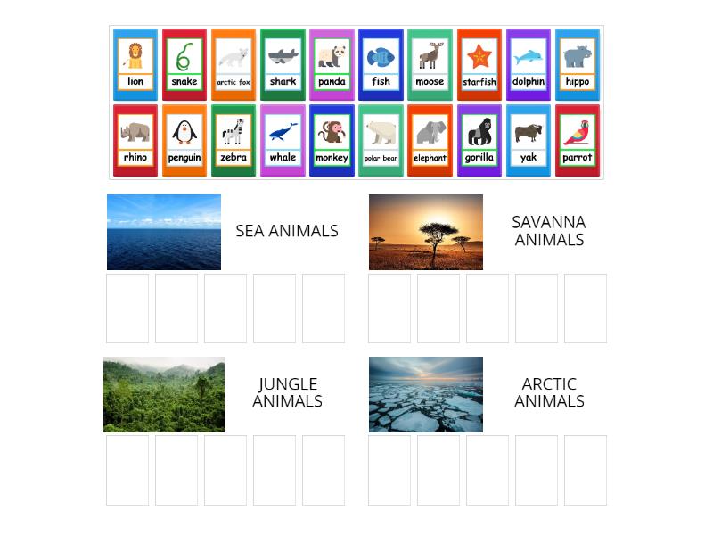 Classifying animals - Group sort