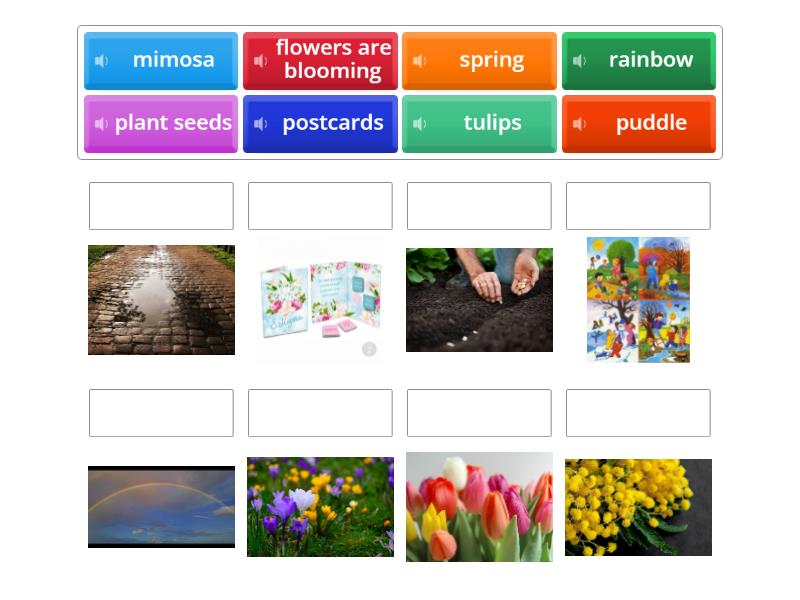 Spring Vocabulary - Match up