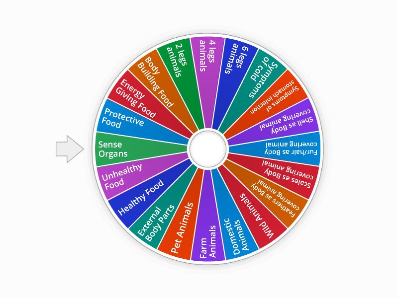 Give Three examples of - Spin the wheel