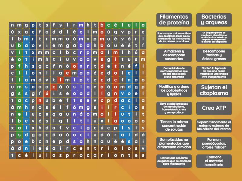 Tema 3. Estructura y funciones de la célula - Sopa de letras