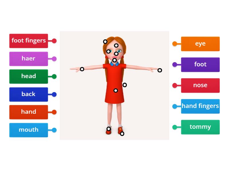 body parts - Labelled diagram