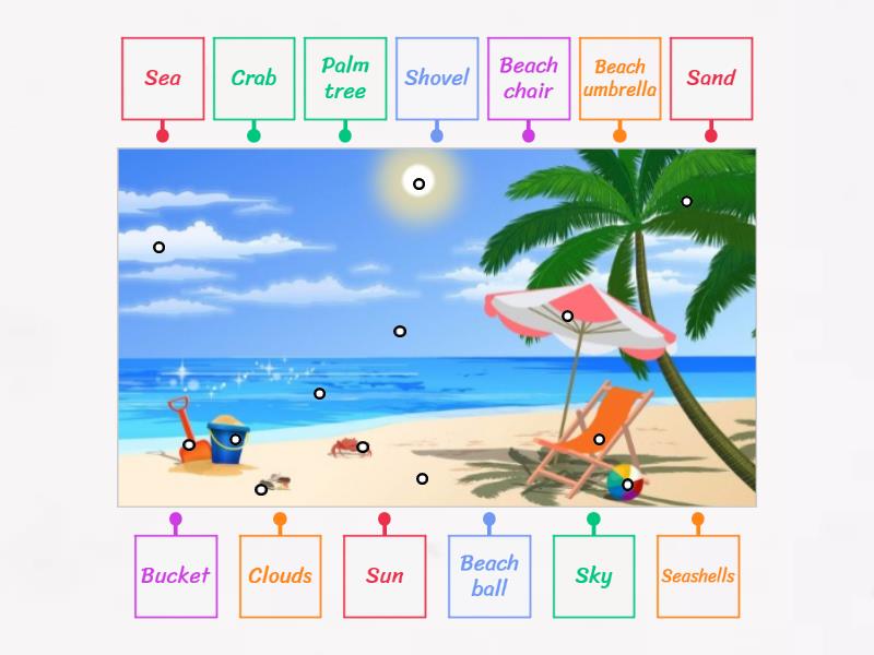 Label the Image - At the beach - Labelled diagram
