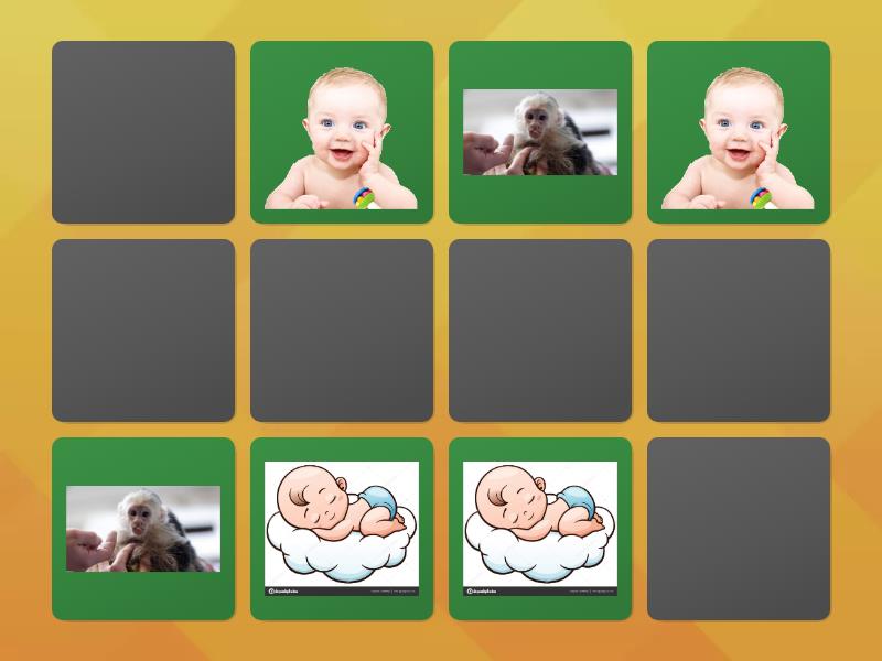 encontre os pares e observe suas características - Matching pairs