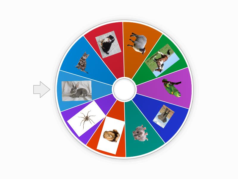 Animals basic - Spin the wheel