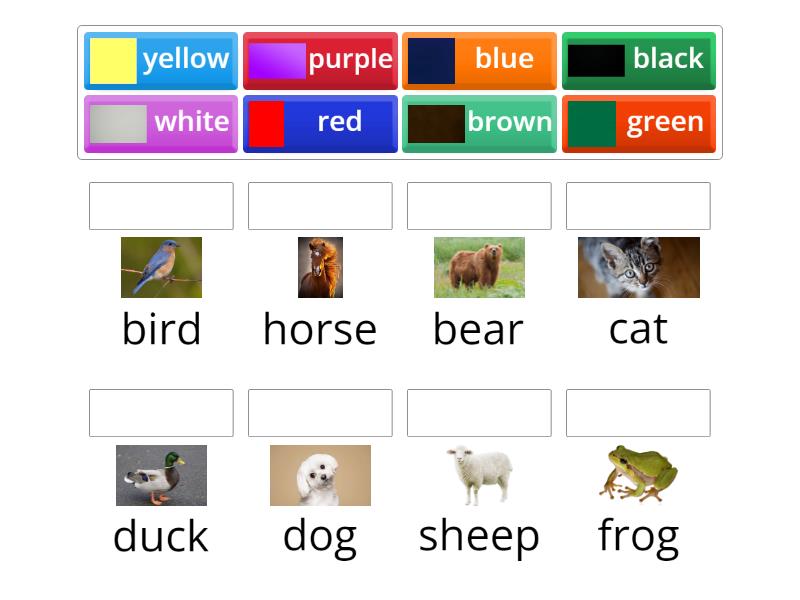 Brown Bear Colours and Animals_ - Match up