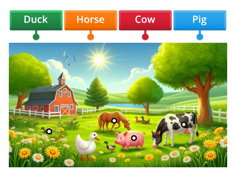 Farm Animals - Labelled diagram