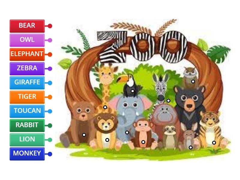 ZOO ANIMALS - Labelled diagram