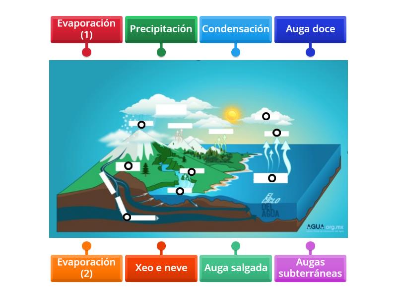 Ciclo da auga II - Diagram berlabel