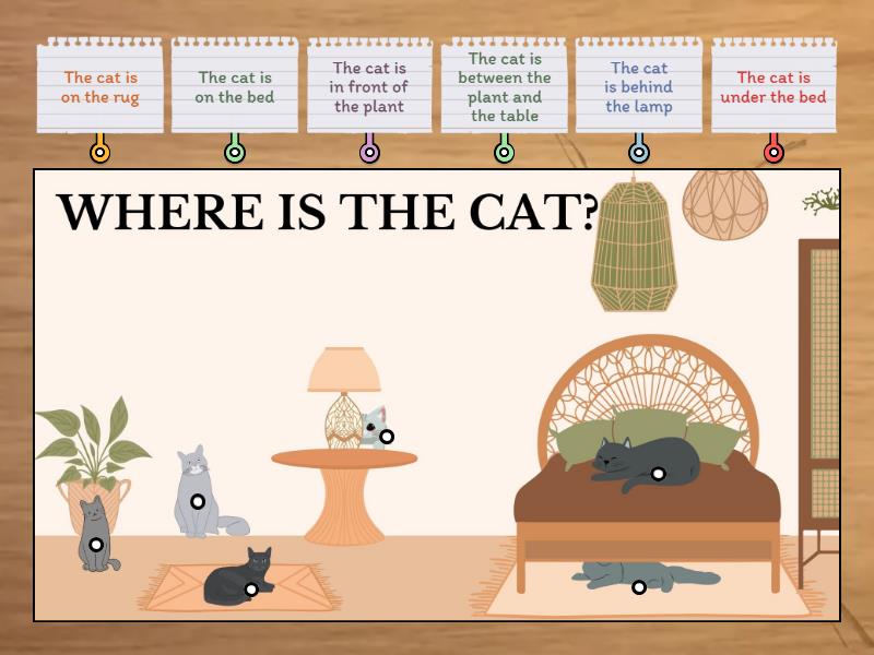Prepositions of place. Spot the cat - Labelled diagram