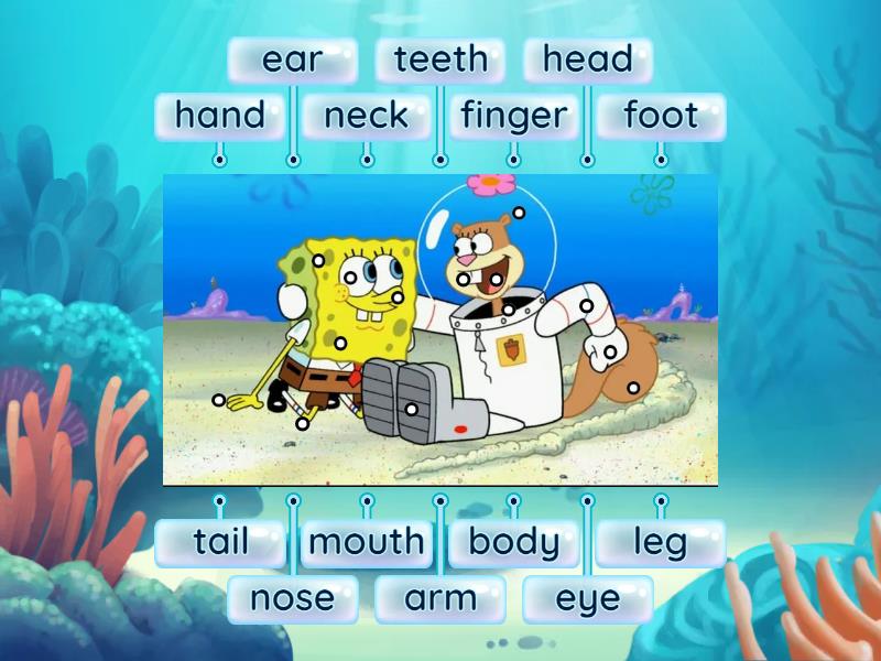Sponge Bob Parts of the Body - Labelled diagram