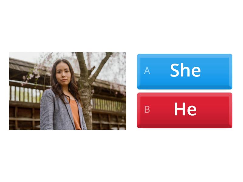 Pronouns (She, He) - Quiz