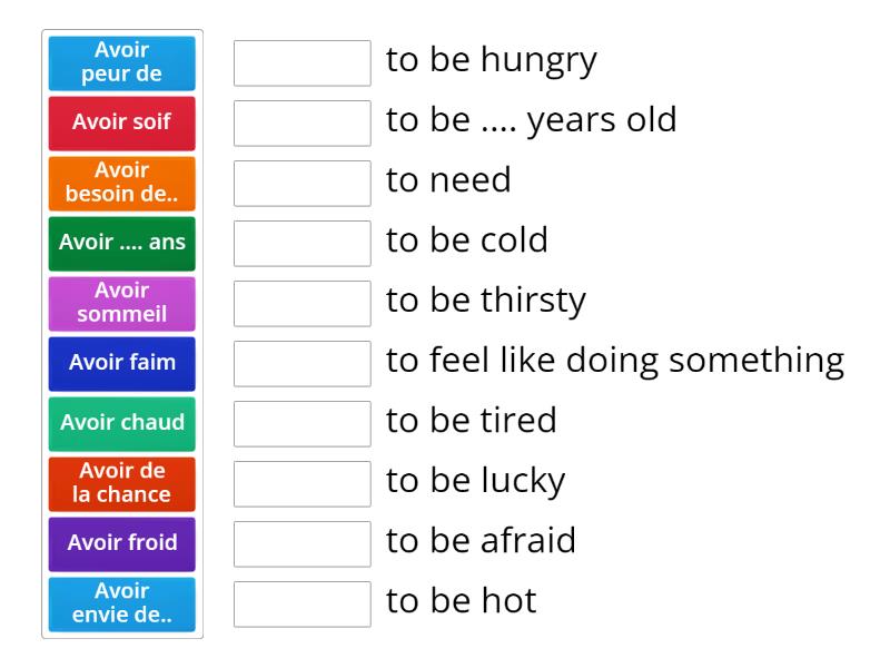 Avoir Expressions - French 1 - Match up