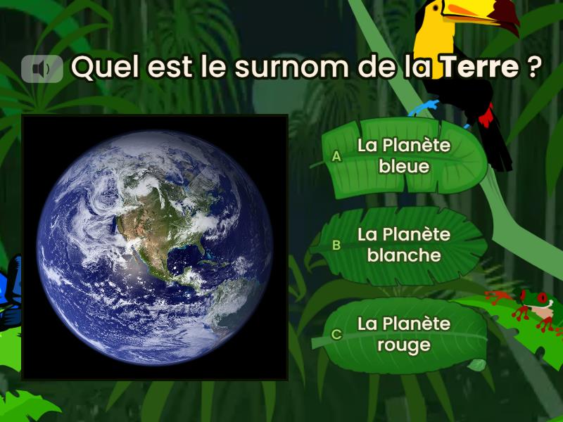 Questions sur les animaux - Cuestionario
