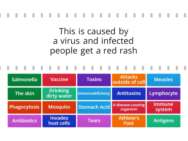 Pathogens Infection And Response Find The Match