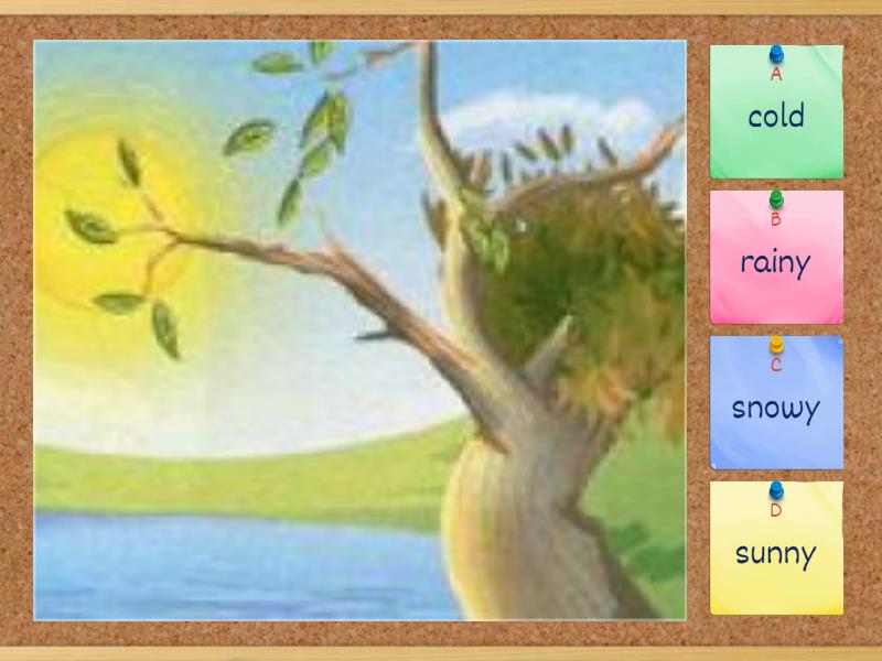 Types of weather - Quiz