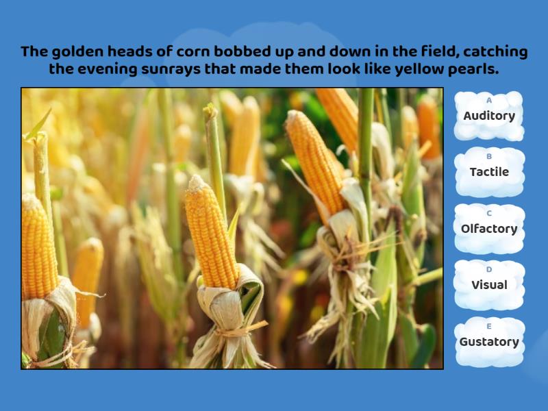 on 5 forms of Imagery @ www.bambinos.live - Quiz