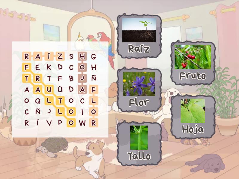 Partes de la planta - Sopa de letras - Wordsearch