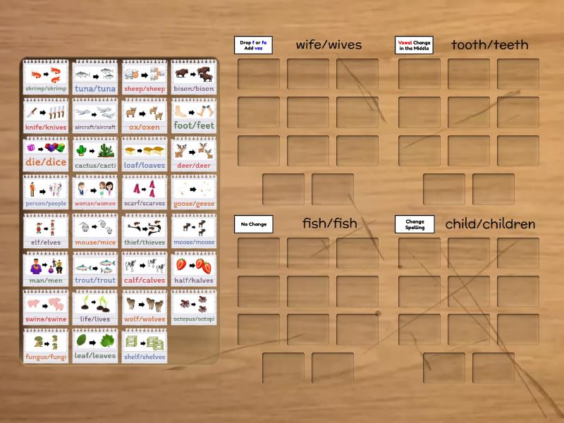 Irregular Plural Noun Sort - Group sort