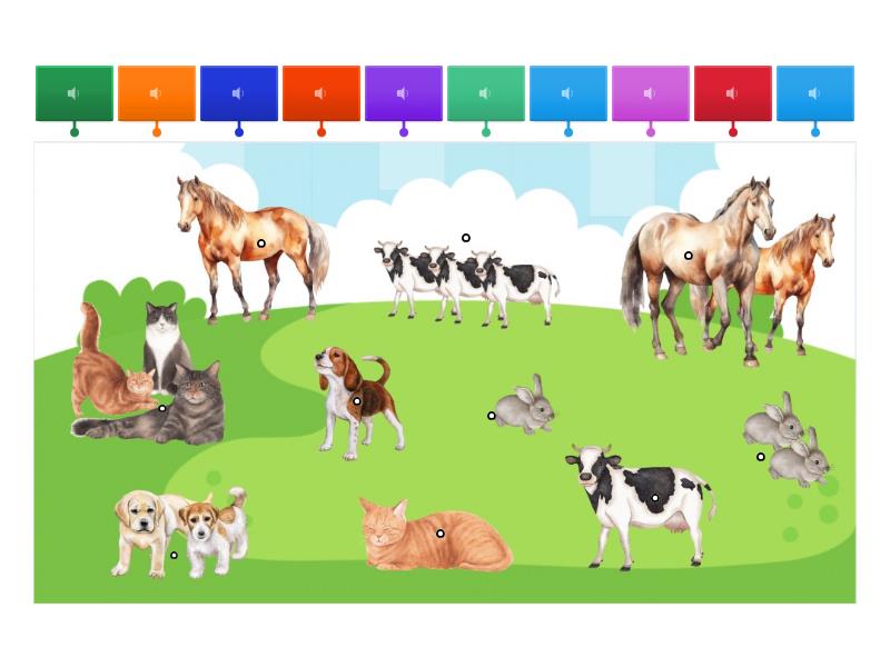 Animals (plurals) - Labelled diagram