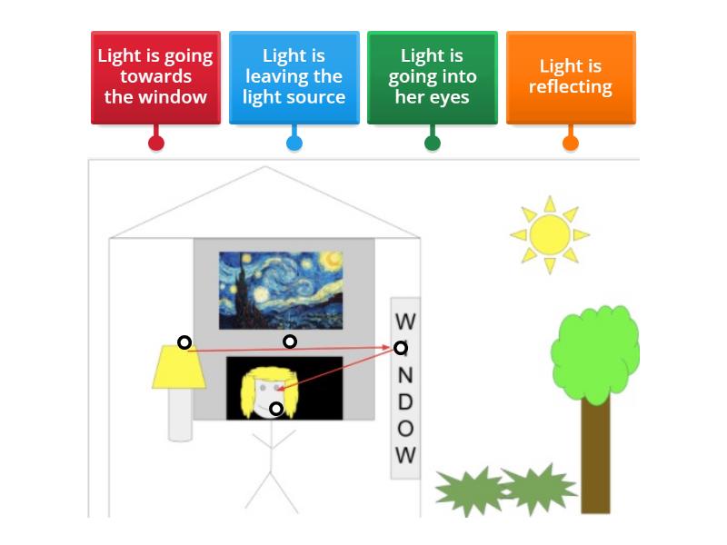 Light Review - Labelled diagram