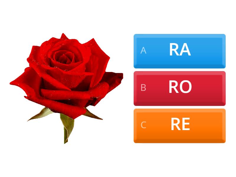 Letra R sonido inicial - Quiz