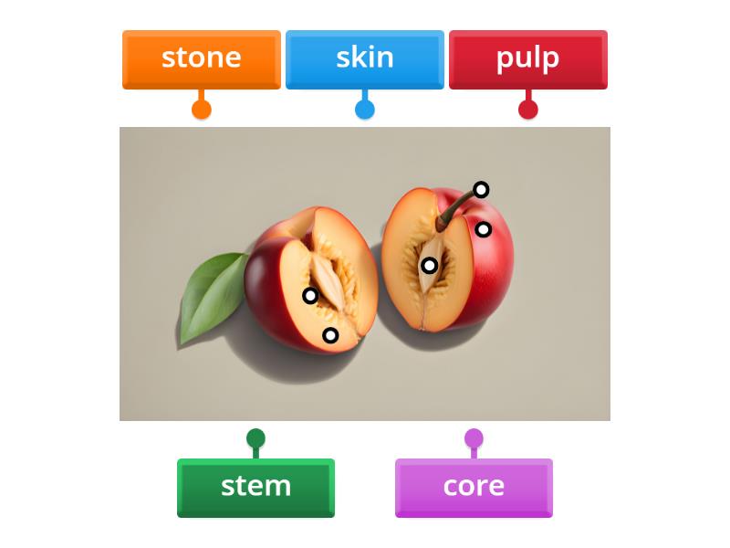 Parts of fruit - Labelled diagram